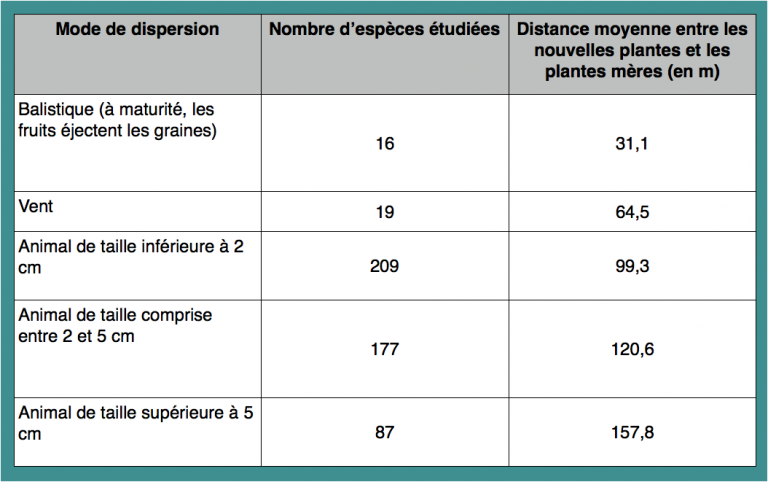 TP-TD 2 : Étude de la fleur : organisation et adaptation à la pollinisation - Vieterre