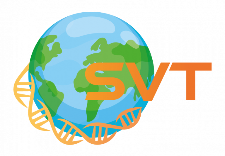 Méthode ECE - Vieterre