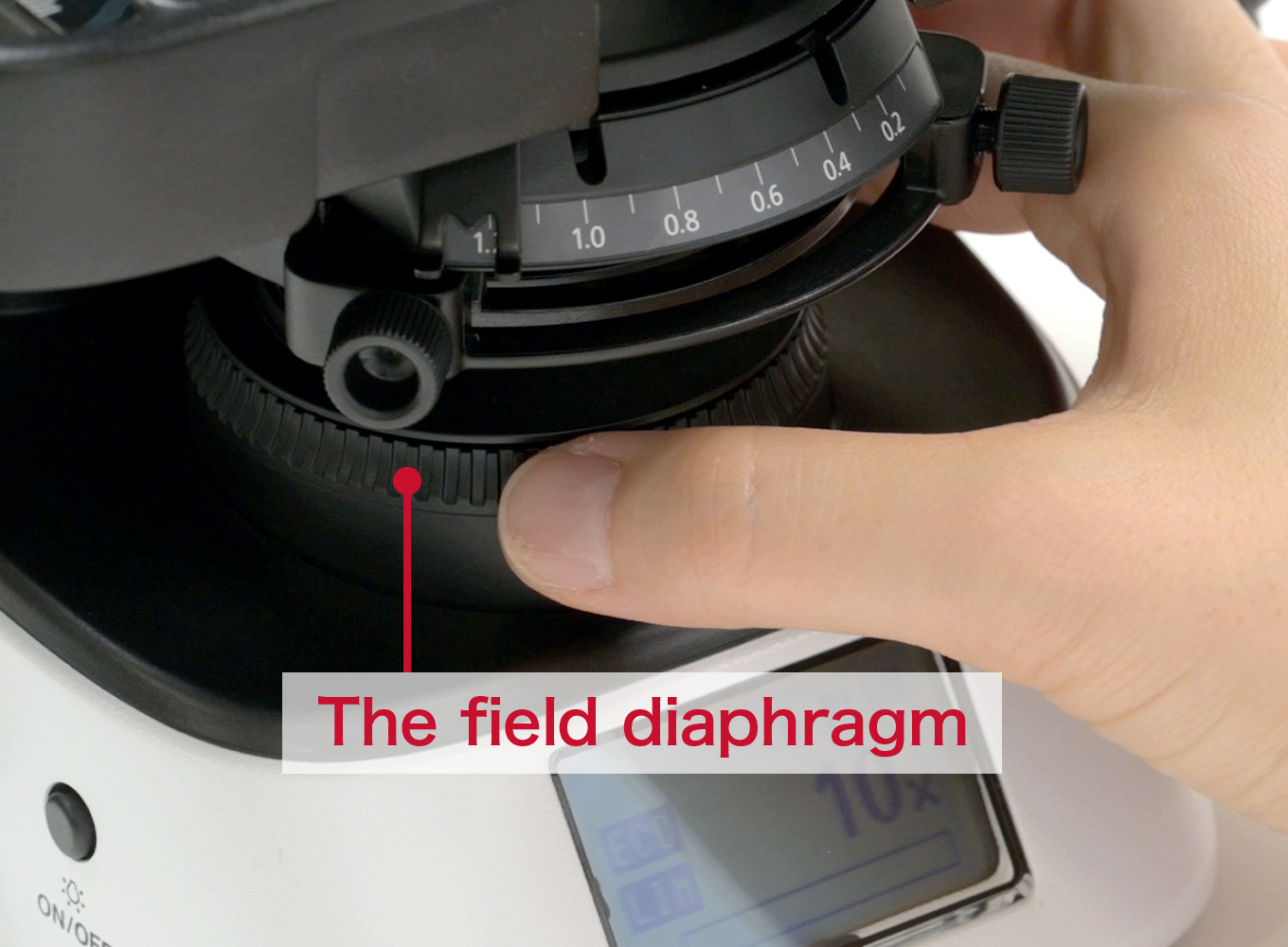 How to use a microscope? - Vieterre